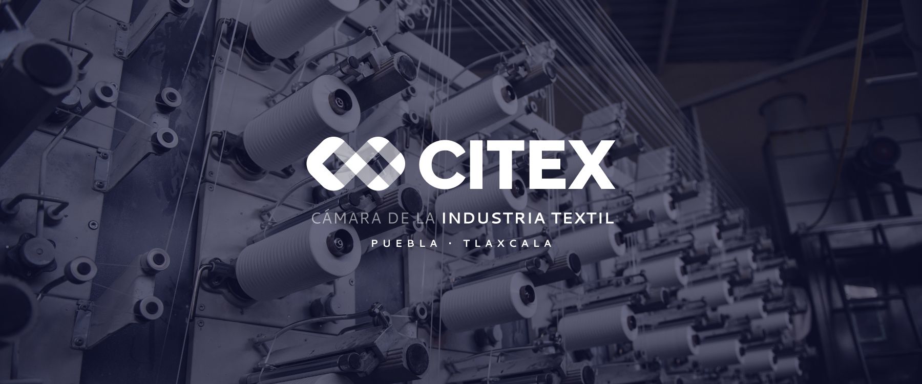 Inicio | Citex